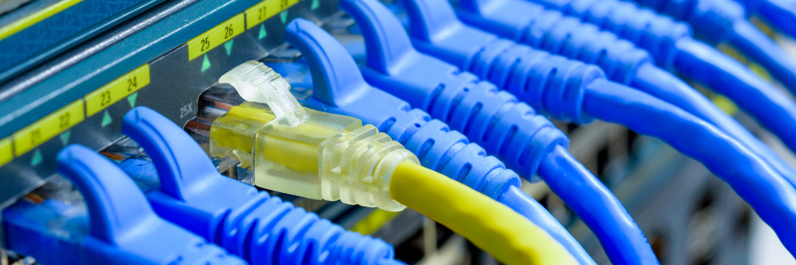 What is a Network Switch? | A Complete Guide – Support | Zeronet